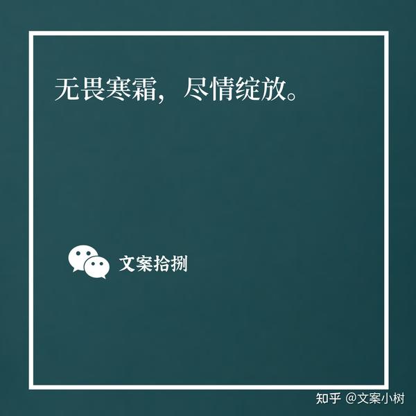10句「霜降」节气海报文案,很温暖 知乎