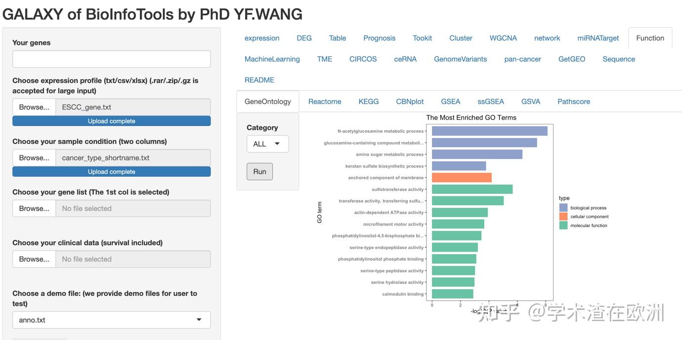 Biowinford全网最全的生信零代码网页工具—功能富集分析（升级） - 知乎