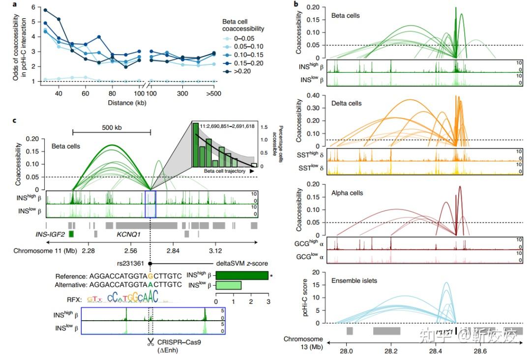 利用10x Genomics单细胞ATAC-Seq揭示糖尿病胰岛细胞类型和特异性调控机制 - 知乎