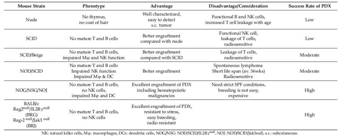 关于PDX模型你想知道的一切 - 知乎
