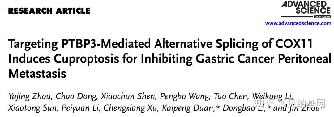 项目文章 | 苏大一附院破解胃癌腹膜转移难题！靶向PTBP3/COX11剪接轴，铜死亡疗法显神威！ - 知乎