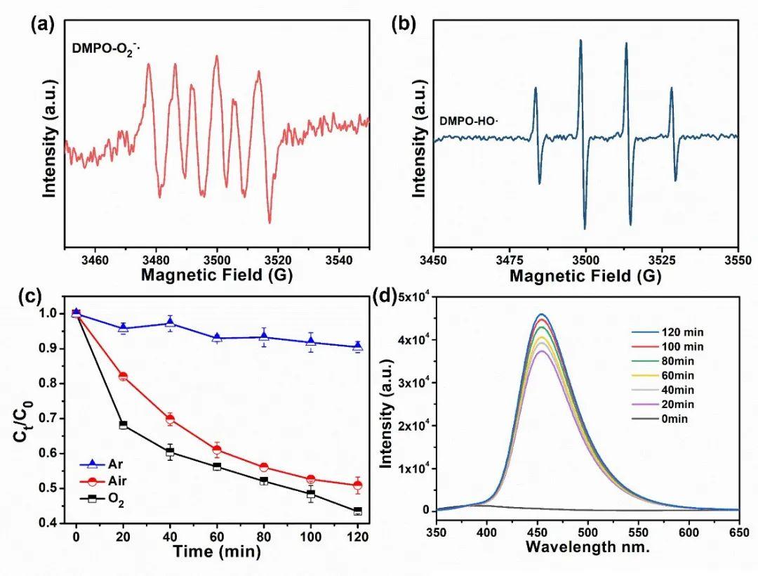 胡卓锋团队ACB: CuCl-HTCC活化分子氧产生活性氯物质用于高级氧化 - 知乎