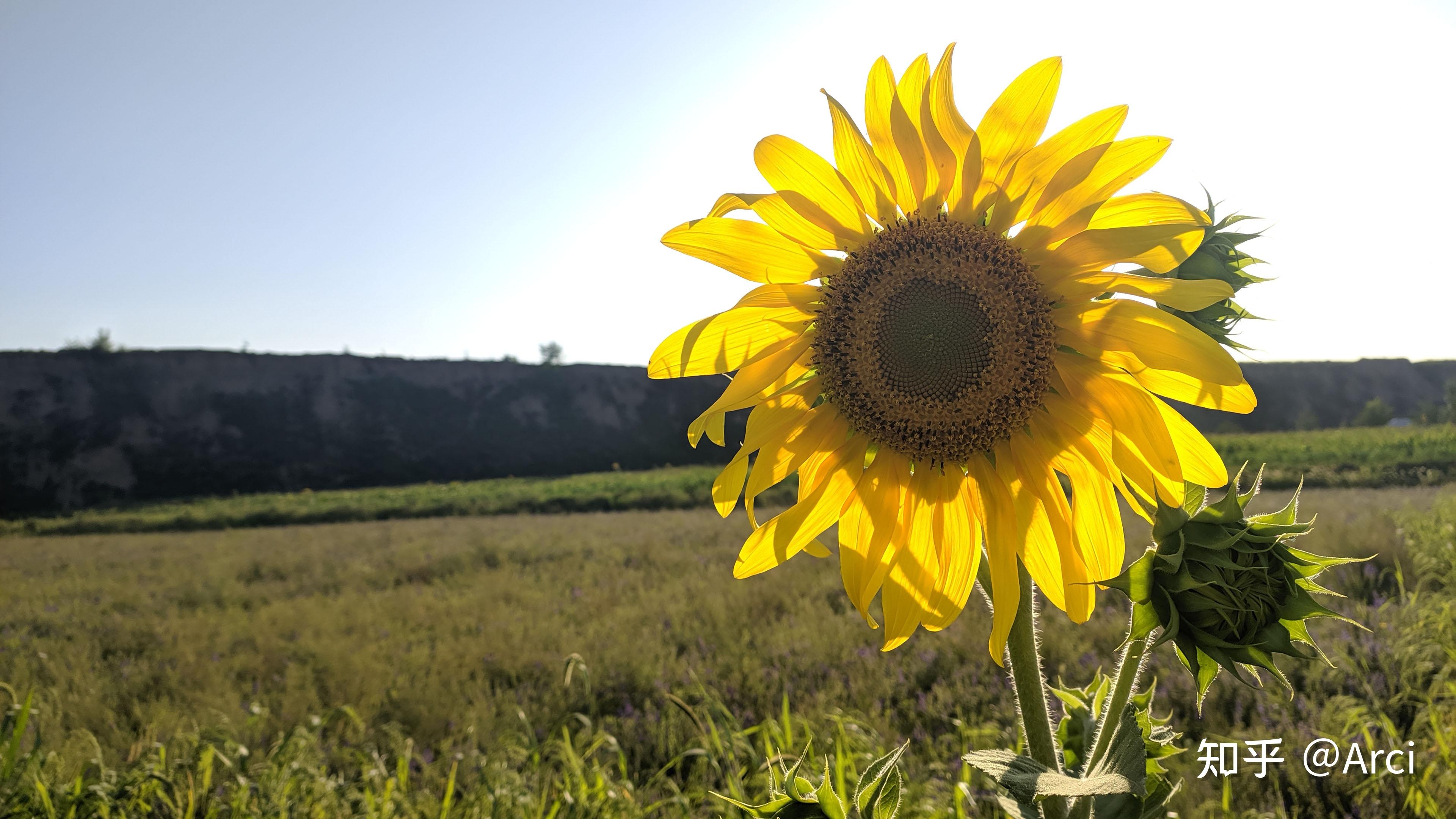 【Arci】猎头笔记-073：你的简历投出去，为什么企业看了但没有处理或回复？ - 知乎