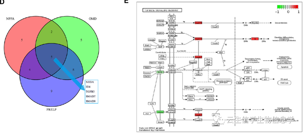 双疾病纯生信分析又添新思路！6分+WGCNA和机器学习鉴定诊断基因+关键信号通路！不蹭热点也能轻松发文~ - 知乎