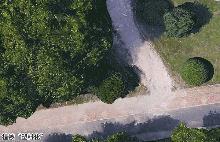 重建大师6.2与卫星版全新上线 | 国产化适配、TDOM优化、智能刺点、卫星影像重建... - 知乎