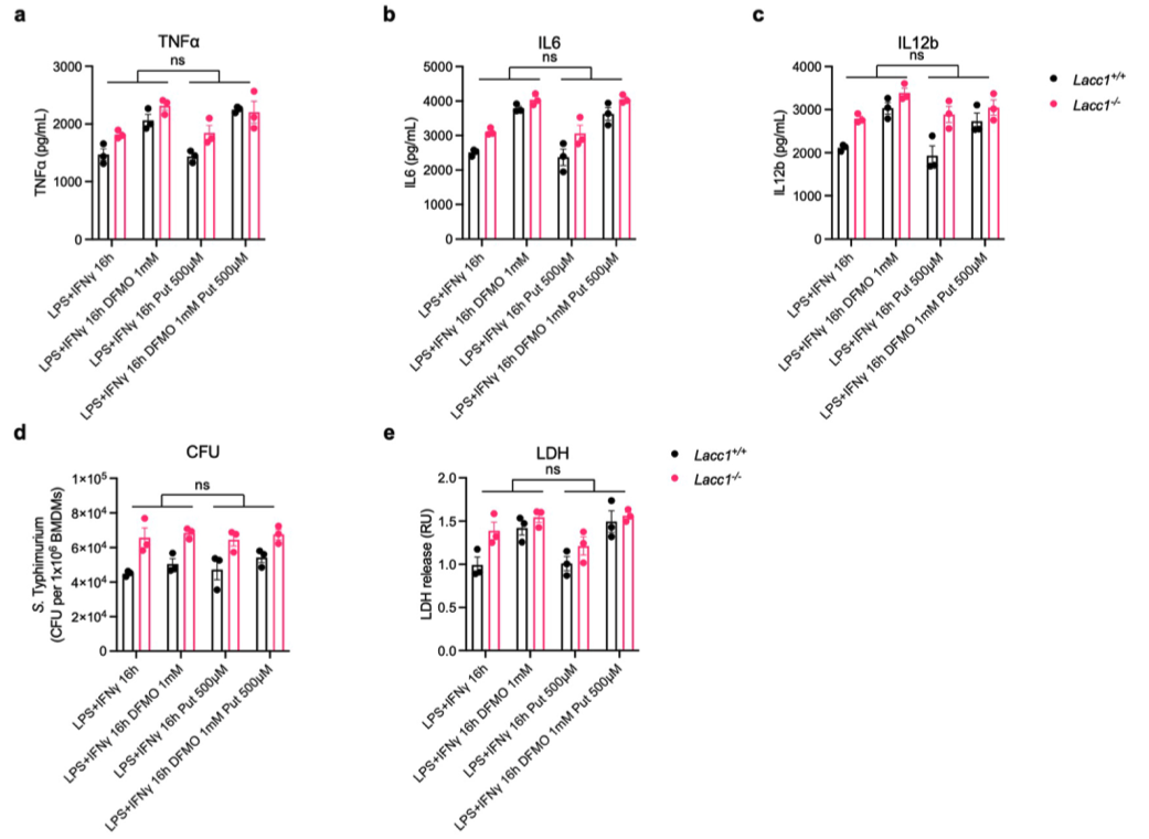 Nature丨LACC1在巨噬细胞免疫代谢的重要作用 - 知乎