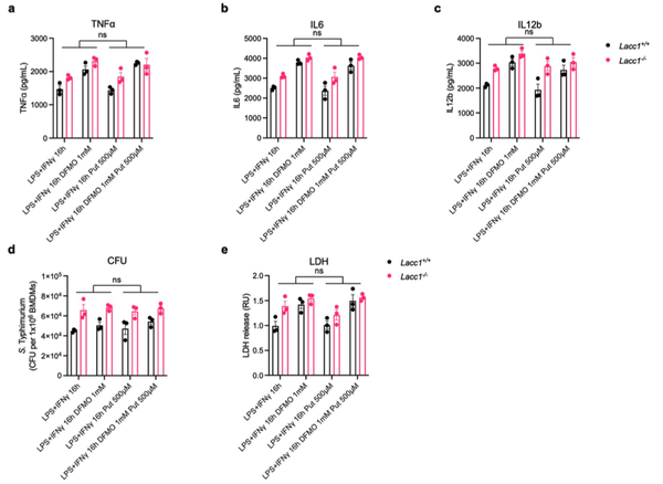Nature丨LACC1在巨噬细胞免疫代谢的重要作用 - 知乎