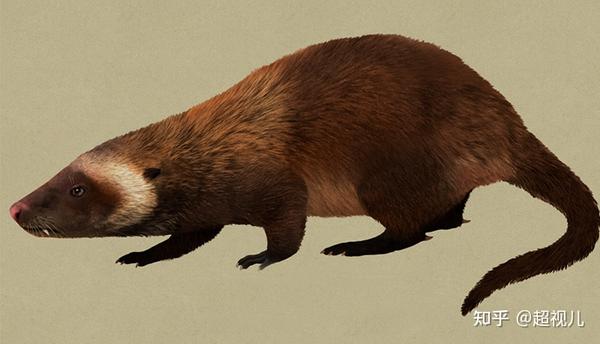 侏罗纪——龙之盛宴 - 知乎