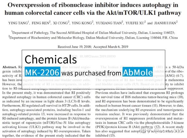AbMole科研-过表达核糖核酸酶抑制剂诱导结直肠癌细胞自噬 - 知乎