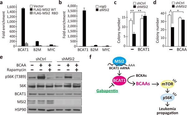 RIP（RNA immunoprecipitation） - 知乎