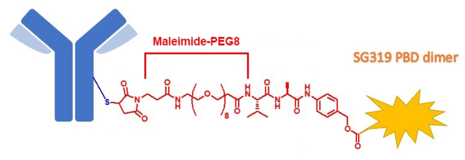 Technology │抗体偶联药物（ADC）的接头 - 知乎
