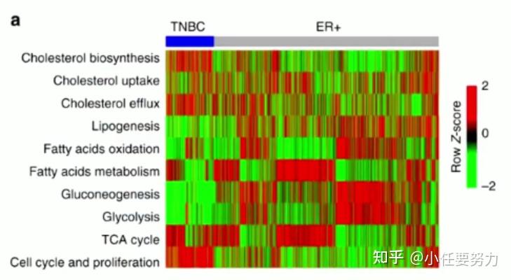第三课：TCGA 数据下载&GSVA算法分析 - 知乎