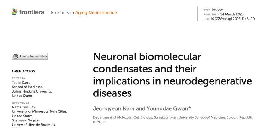 Front.aging neurosci神经元生物分子凝聚物在退行性疾病中的意义 - 知乎