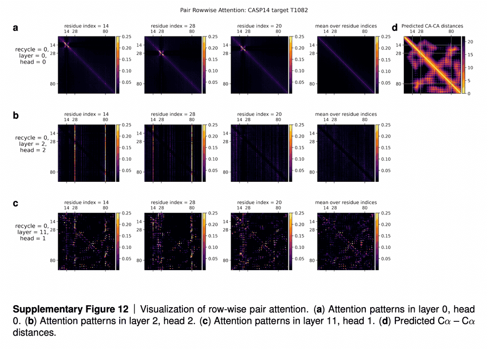 理解AlphaFold2 - 知乎
