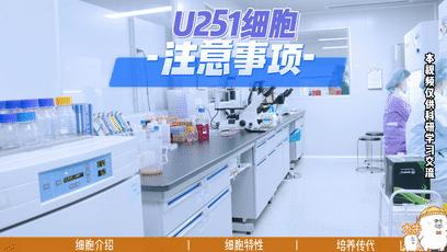U251细胞培养，人胶质瘤细胞系培养攻略 - 知乎