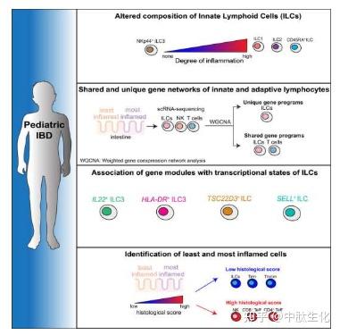 Cell Rep Med：科学家成功绘制出儿童炎性肠病患者机体肠道的免疫学特征 - 知乎