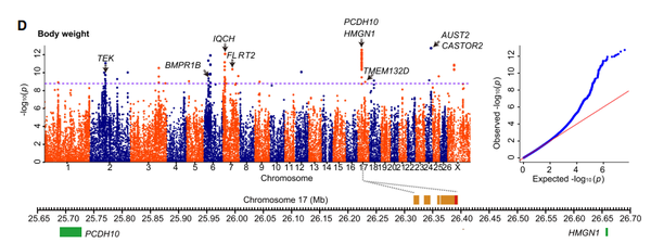 R入门第二十二天，曼哈顿图 - 知乎