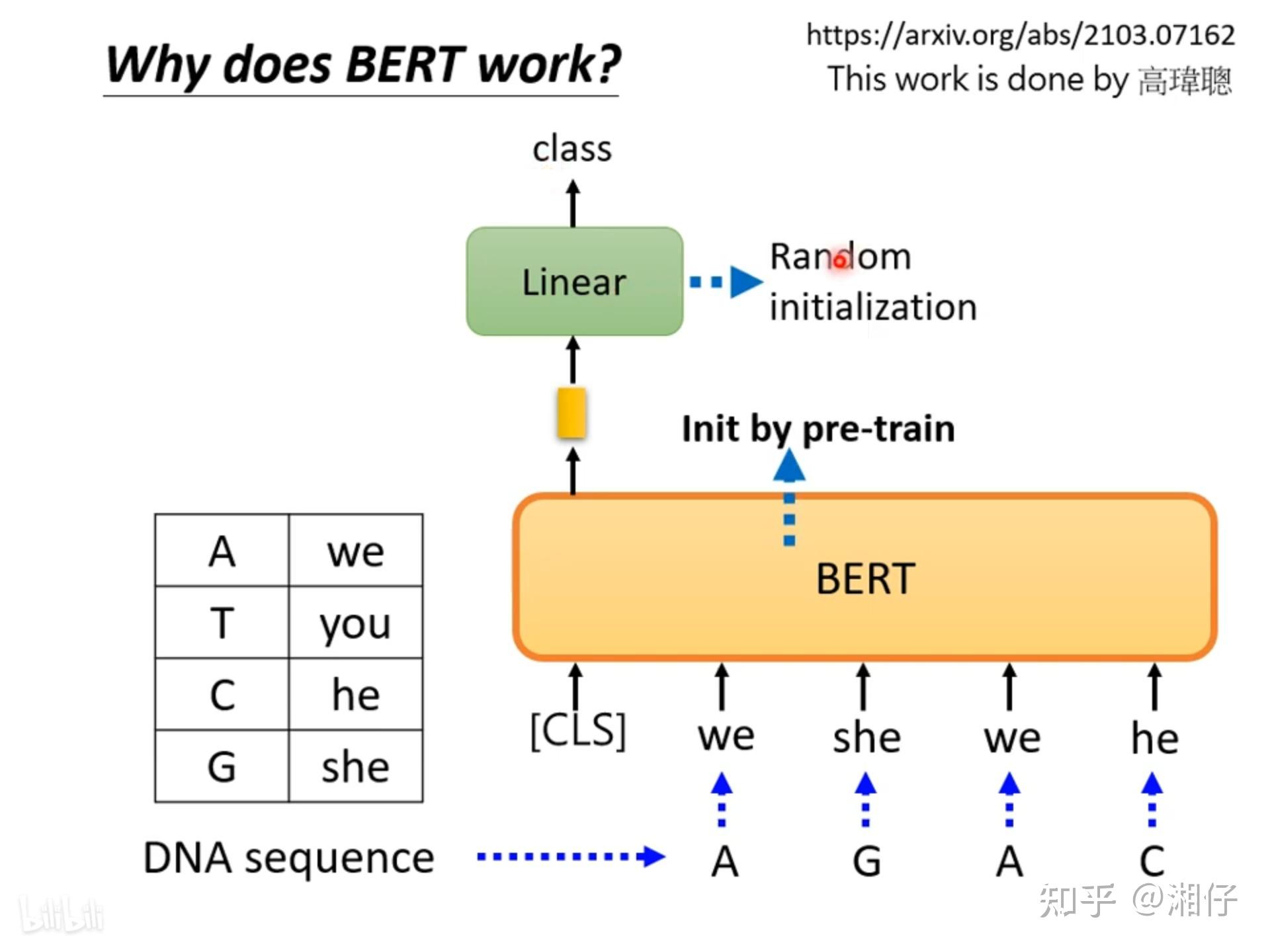 Bert原理解释 知乎 