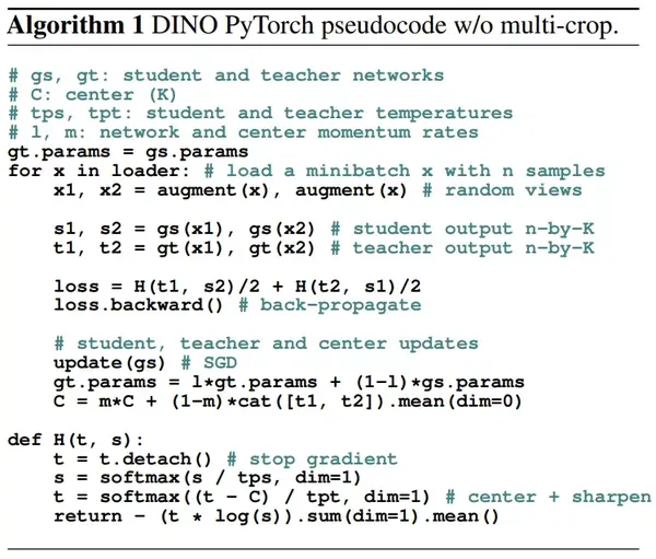 DINO：Self-Supervised Vision Transformer的新特性 - 知乎