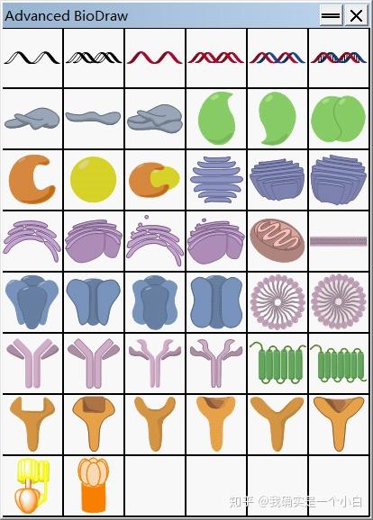 生物图形 - 知乎