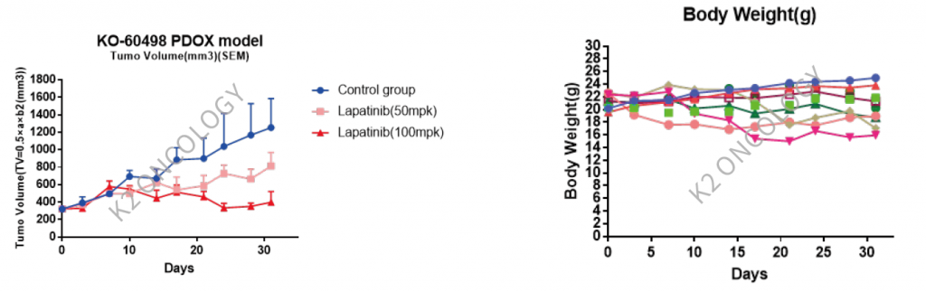 PDOX模型药物评价 - 知乎