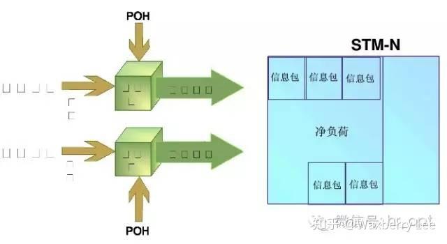 PDH→SDH→MSTP→PTN→OTN，光传输网那些事 - 知乎