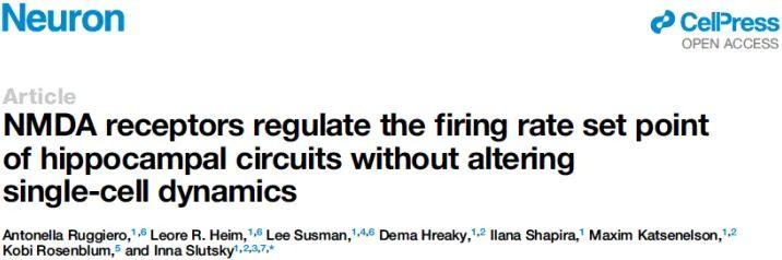 Neuron：深入揭示海马NMDA受体调控新机制 - 知乎
