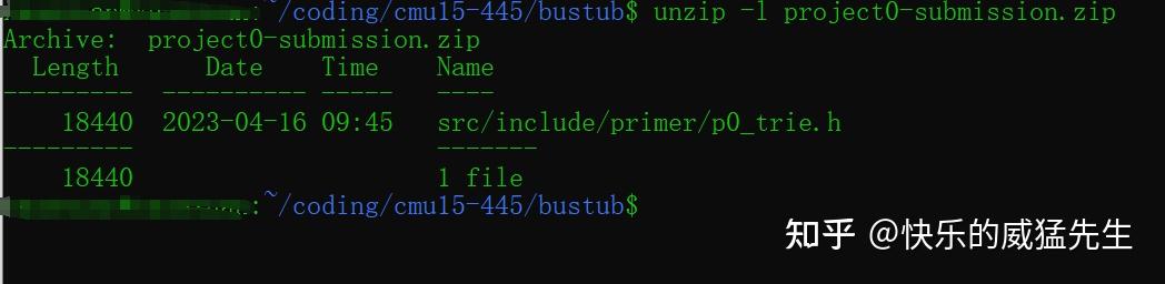 【CMU15-445 FALL 2022】Project #0 - C++ Primer - 知乎