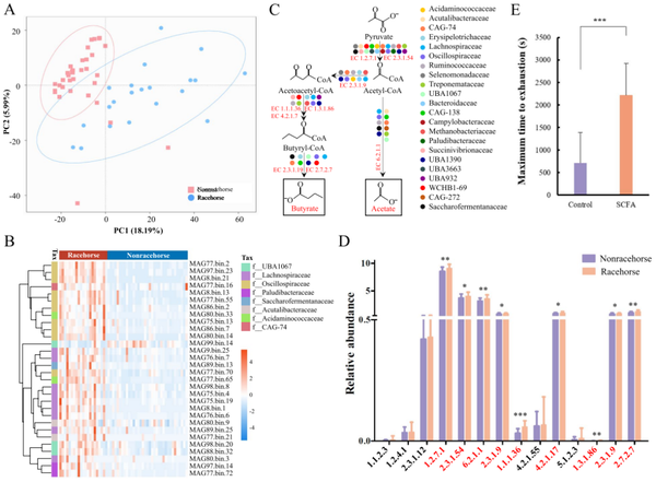 合作文章IF：16.8！| 三代宏基因组助力马肠道宏基因组集构建与研究 - 知乎