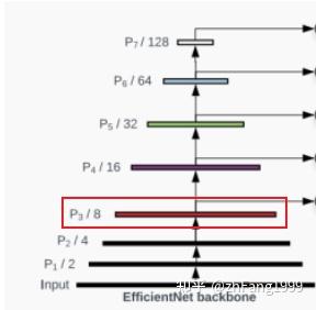 EfficientDet之Backbone结构解析（超详细版本） - 知乎