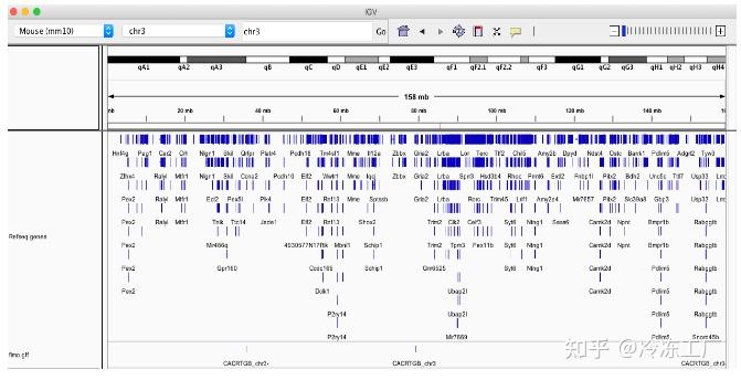 ChIP-seq 分析：GO 功能测试与 Motifs 分析（12） - 知乎