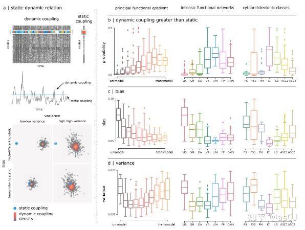 Time Resolved Structure Function Coupling In Brain Networks 待修改 知乎