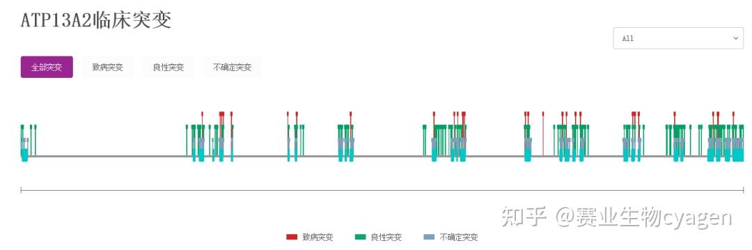 【每周一鼠】揭开早发型帕金森病的神秘面纱——ATP13A2基因敲除小鼠 - 知乎