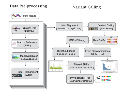 重测序分析流程（自动处理多个样品） - 知乎
