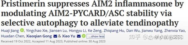 扁蒴藤素通过选择性自噬调节AIM2-PYCARD/ASC的稳定性来抑制AIM2炎症小体缓解肌腱病 - 知乎