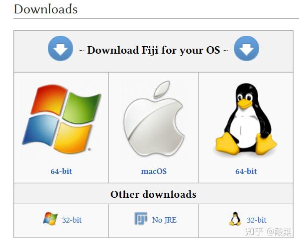 ImageJ高效图片分析技巧 - 知乎