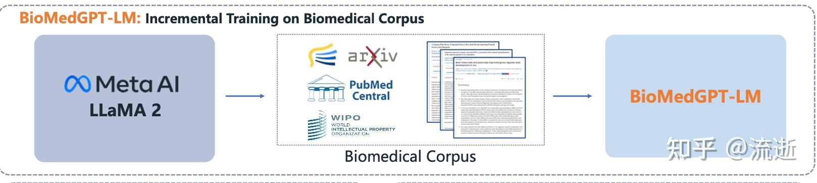 领域大模型：生物医药领域BIOMEDGPT - 知乎