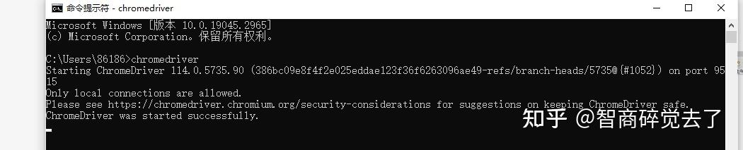 运行selenium，报错could Not Start A New Session 知乎eoi 7967