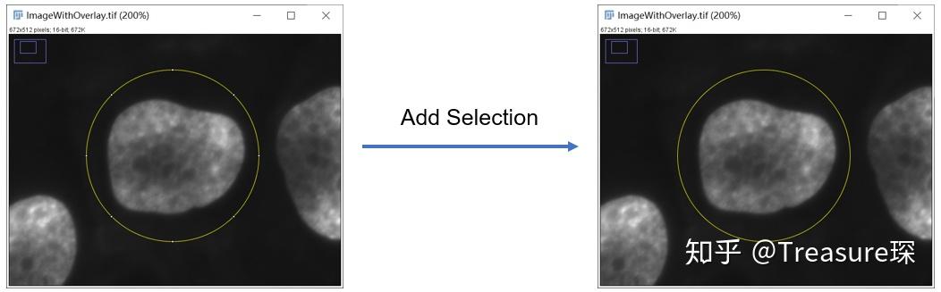 ImageJ实用技巧——图像标注(基本功能篇) - 知乎