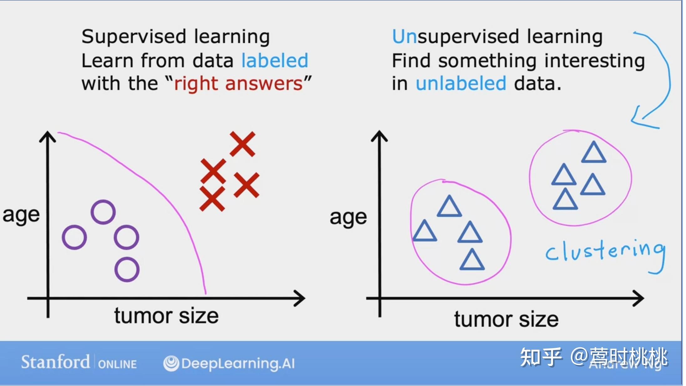2023吴恩达机器学习： 上班族35 天学完~学习笔记 11 监督学习 知乎 