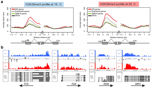 解析表观遗传学的工具——ChIP-seq（二） - 知乎