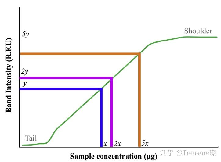 ImageJ实用技巧——Western Blot定量分析深入探究(定量分析篇) - 知乎