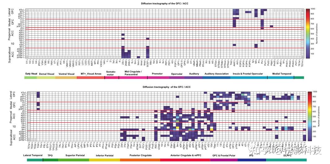 人类眶额皮层、vmPFC和前扣带回的有效连接：情绪、记忆和行动 - 知乎