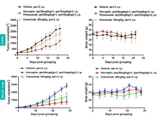 PDX模型，模拟真实肿瘤生长 - 知乎