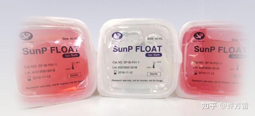 上普 SunP Biotech | 3D生物打印和制造先进生物打印产品 - 知乎