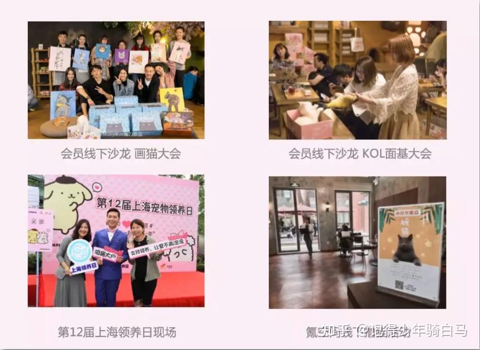 开店一年获A轮融资，月销额超1000万！MollyBox教你如何爆单经营！ - 知乎