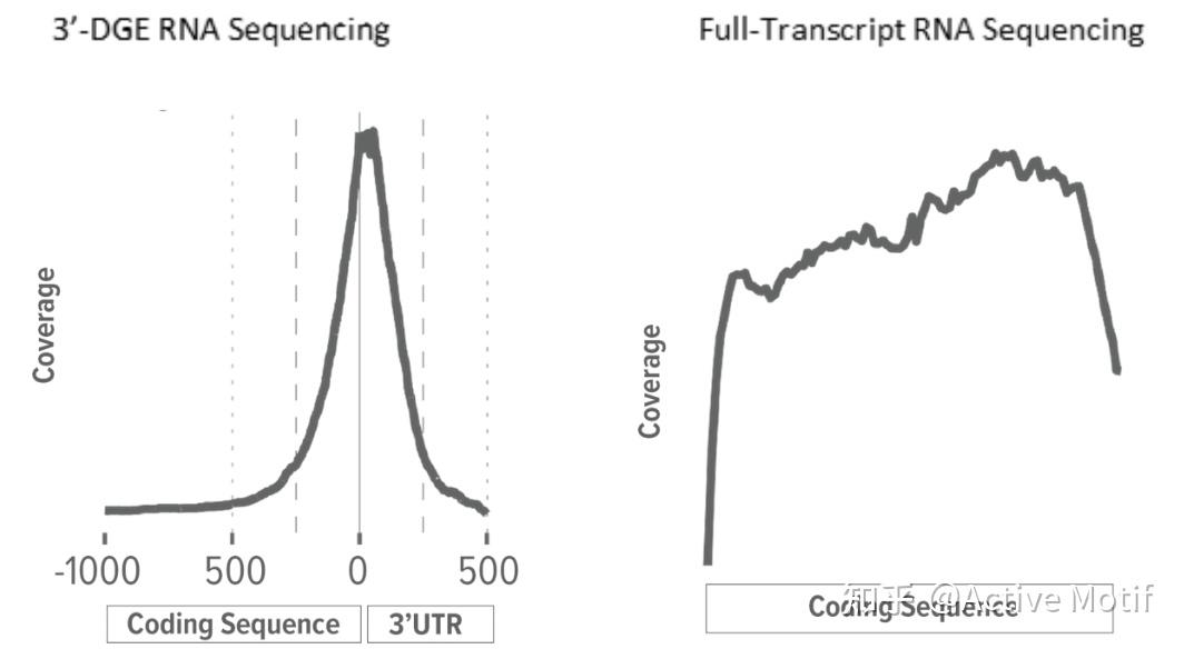 高通量、低成本的RNA-seq：3'-Digital Gene Expression (3'-DGE) - 知乎