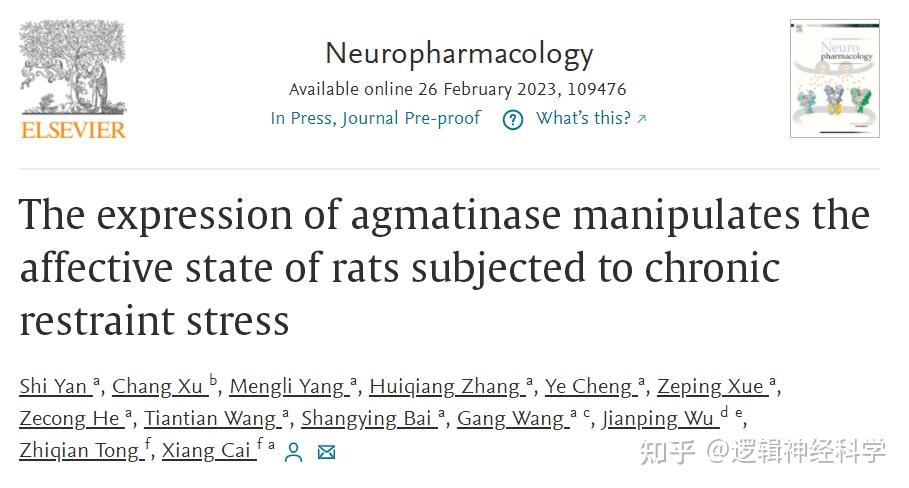 Neuropharmacology︱首都医科大学蔡翔团队发现调控海马脑区AGMAT基因表达能够促进兴奋性突触传递，有效缓解因不良应激引起的抑郁 ...