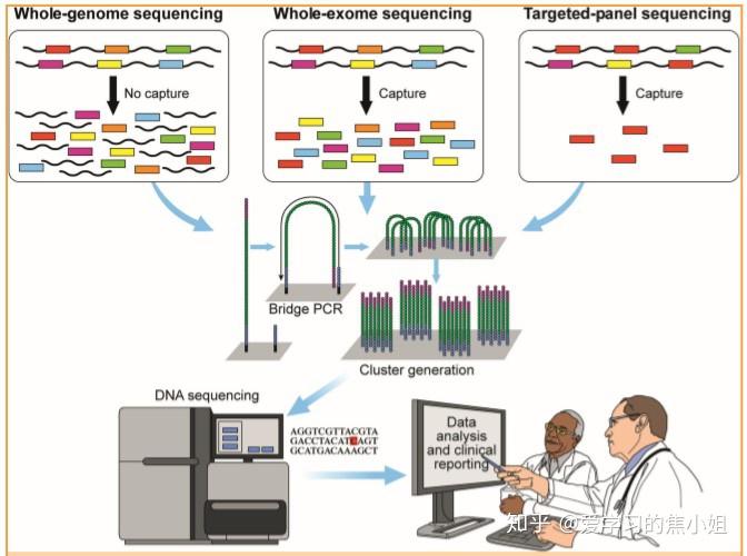 NGS家的五个熊孩子 - 知乎