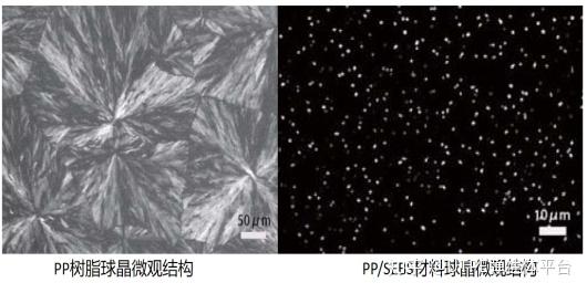 原理分析！一文带你了解PP/SEBS中微观形态对性能的影响 - 知乎